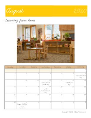 Calendar - All-Day Primary